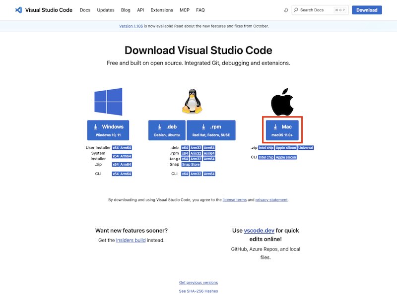 Visual Studio Code（VSCode）インストール方法｜初心者でも5分でできる日本語化ガイド【Windows/Mac 両対応 ...